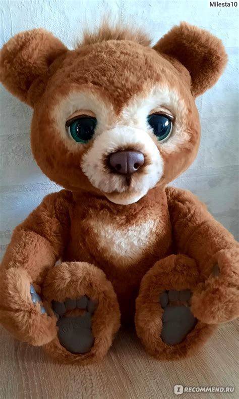 Hasbro Интерактивная мягкая игрушка FurReal Friends Русский мишка Е4591 ...