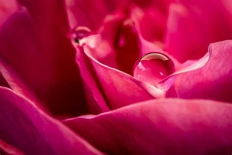 Raindrops on Behance