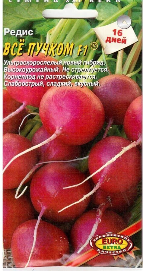 Редис Агрофирма Аэлита Кибиткааэлитатоматы_фиолетовый_зеленый - купить ...
