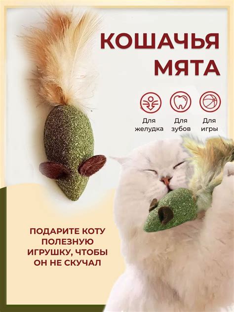Кошачья мята купить на OZON по низкой цене (1095619339)