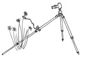 Wimberley Professional Photo Gear - The Plamp II