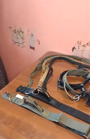 Ошейники капроновые с ручкой. Поводок-антирывок. #кинологмосква # ...
