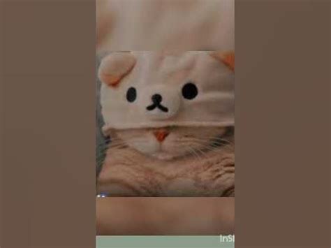 Милые фотки 🥹 - YouTube