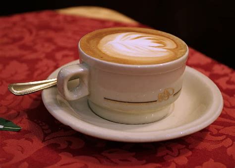 Diferencia entre Cappuccino y Frappuccino