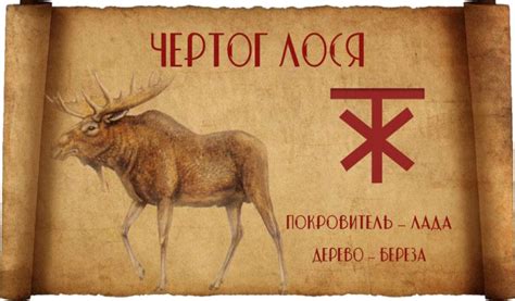 Чертог Лося: описание и значение, особенности, бог-покровитель и тату