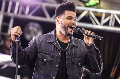 The Weeknd - Starporträt, News, Bilder | GALA.de