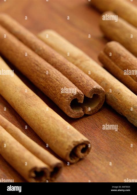 Cinnamomum hi-res stock photography and images - Alamy