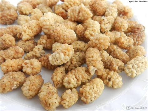Сушеный тутовник польза и как кушать