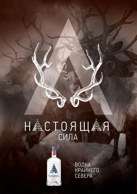 ТУНДРА on Behance