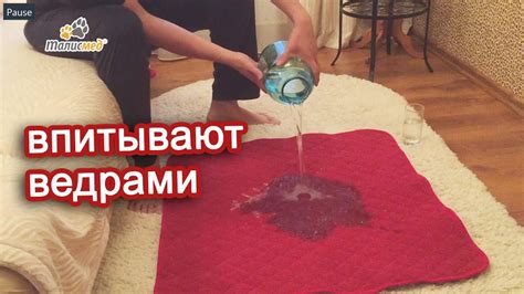 Пеленки для собак Талисмед впитывают ведрами! - YouTube