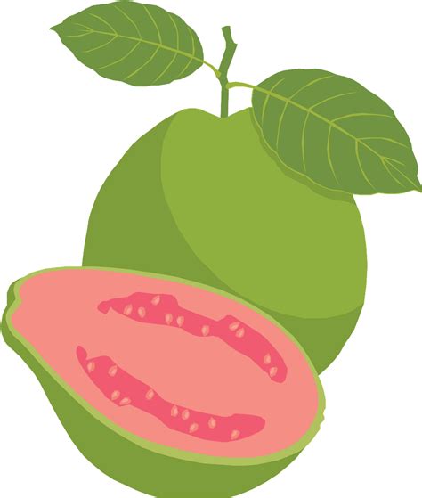 Гуава PNG