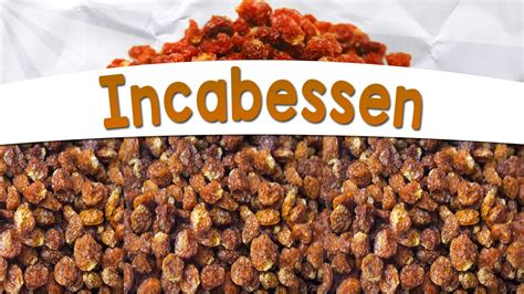 Informatie: Incabessen - YouTube
