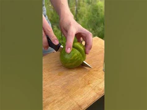 Сортовой томат зелёного цвета🍅сахарный томат Лимонная искорка | обзор ...