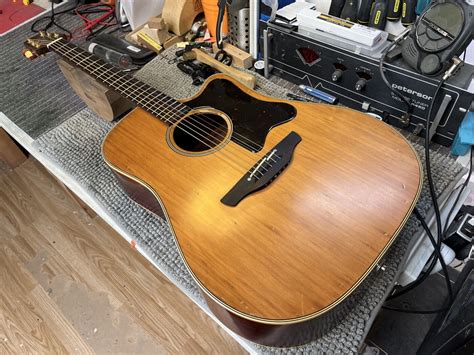 Takamine Acoustic - Owl's Guitar Sanctuary