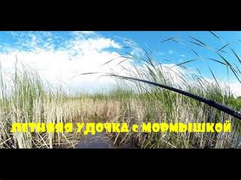 Летняя Удочка с мормышкой - YouTube