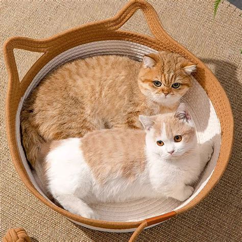Кошачье гнездо 4 сезон. - купить с доставкой по выгодным ценам в ...