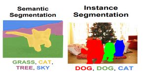 Object Detection vs Object Recognition vs Image Segmentation | GeeksforGeeks
