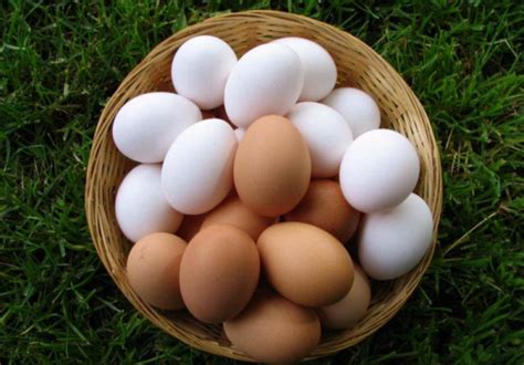 Сколько калорий в варёном вкрутую яйце, подходит ли продукт для диеты