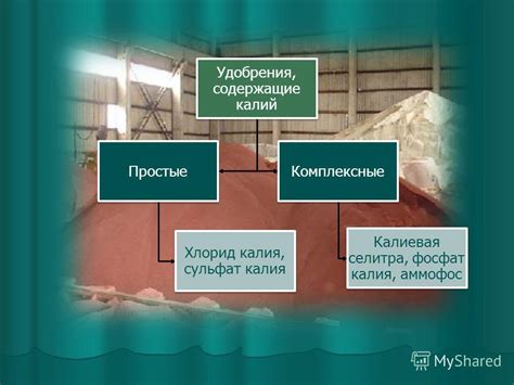 Презентация на тему: "1. Введение. 2. Классификация удобрений. 3 ...