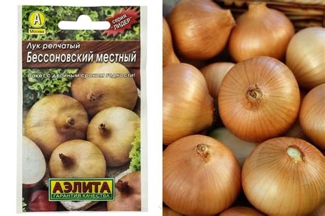 Сорта лука: виды с названиями и описаниями, отличия и выращивание с фото