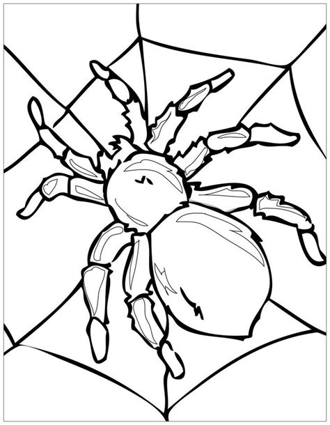 a spider sitting on top of a web in the middle of a coloring book page