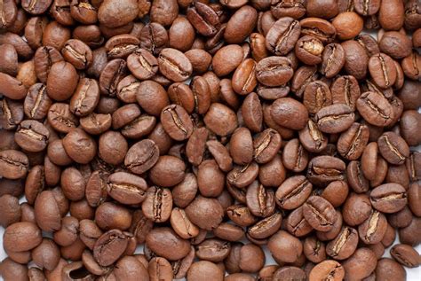 ☕Интернет-магазин свежеобжаренного кофе в зернах | SoftCoffee☕