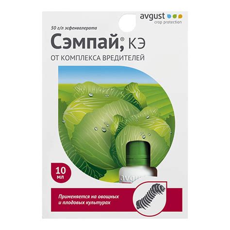 Сэмпай