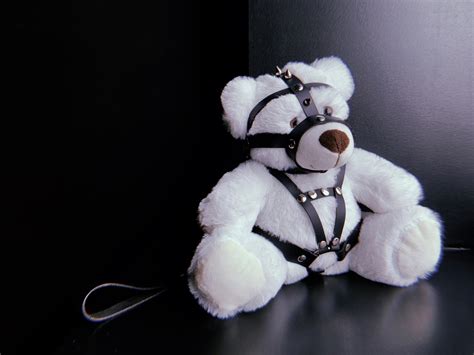 Kinky Fetish Plush Teddy Bear BDSM Gifts DDLG Gift | Etsy
