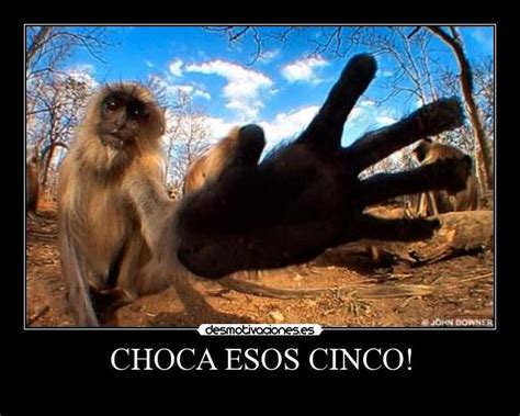 Imágenes y Carteles de CHOCA Pag. 10 | Desmotivaciones