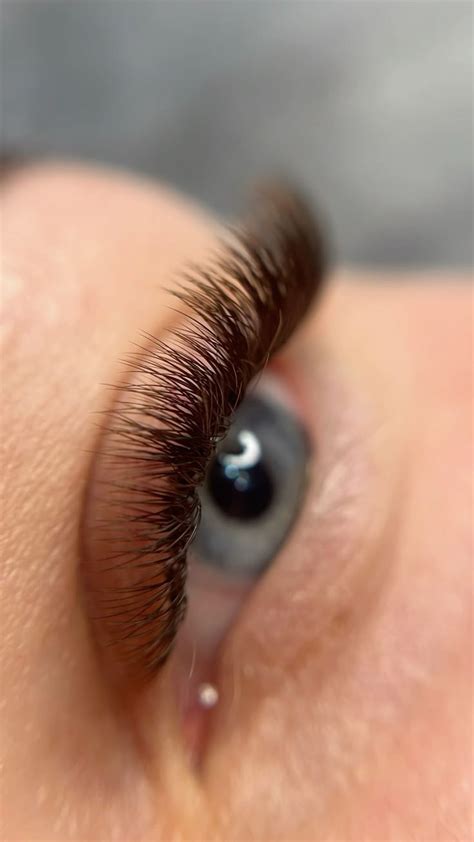 3 д наращивание ресниц лисий коричневые ресницы in 2024 | Lashes ...