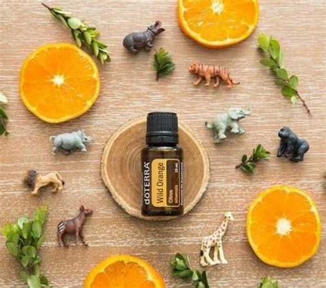Эфирное масло дикого апельсина doterra | Festima.Ru - Мониторинг объявлений