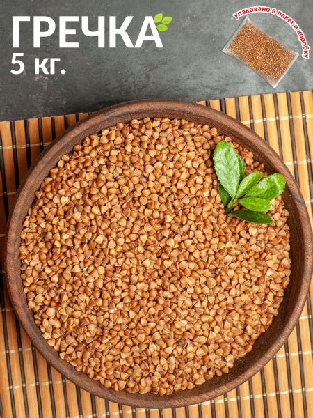 Гречка ядрица 5 кг купить на OZON по низкой цене (925168185)