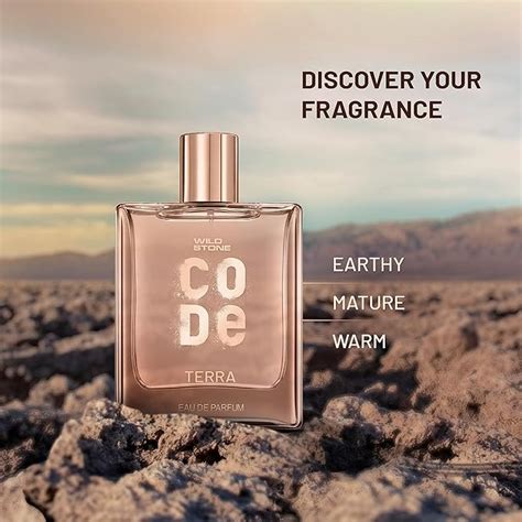 Купить Wild Stone CODE Terra Eau De Parfum для мужчин, 100 мл ...