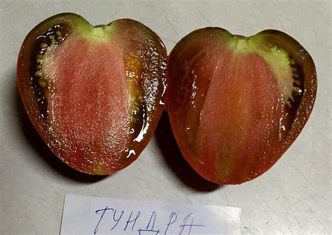 Томат Тундра: описание сорта, отзывы, фото | tomatland.ru