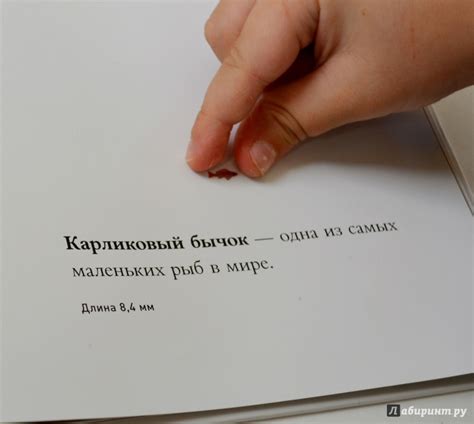 Книга: Сравни! Животные в натуральную величину - Стив Дженкинс. Купить ...