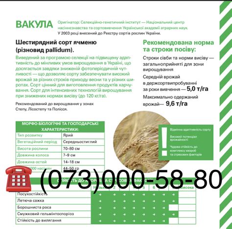 Фото к объявлению: ярий ячмінь Вакула, еліта, 1 репродукція. Виробник ...