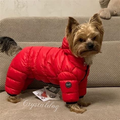 Одежда для собак - интернет-магазин Crystaldog