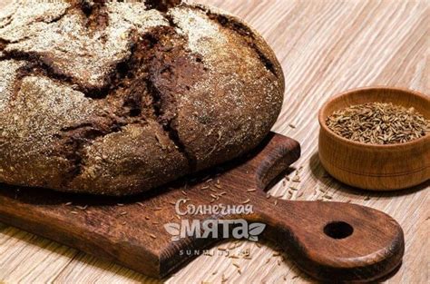 Тмин – описание и виды, состав и калорийность, польза и применение тмина