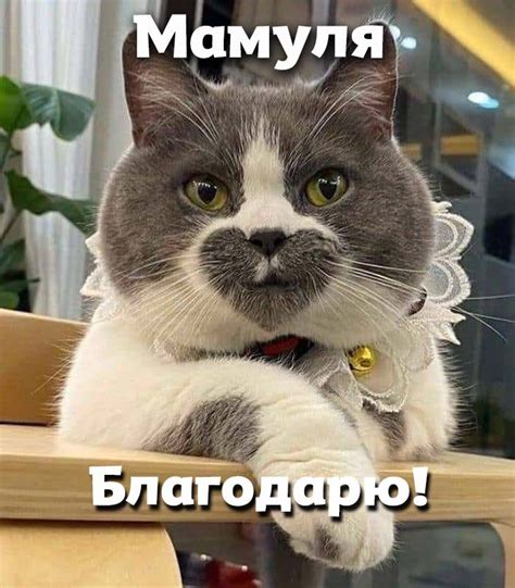 Картинки Спасибо Мама - красивые открытки бесплатно