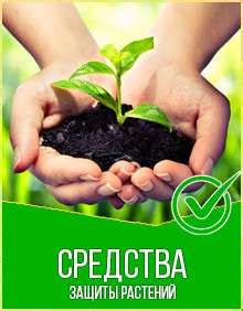Семена почтой и оптом купить в Украине — интернет-магазин семян «Фермер ...