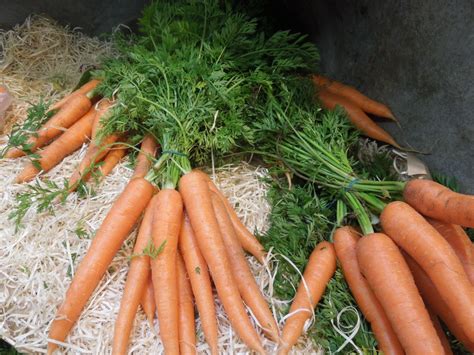 Recept: Bůček se zeleninou | Tradičnírecepty.cz