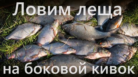 Лещ на боковой кивок | Весна | Река | Летняя мормышка - YouTube