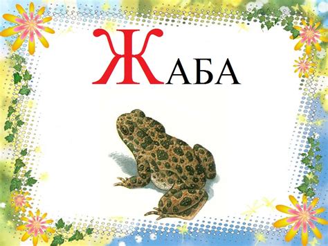 Картинки про букву Ж детям — учим русский алфавит