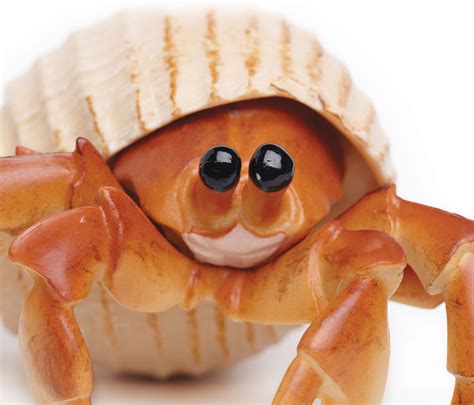 Figurka Safari Krab poustevník - Skibi Kids