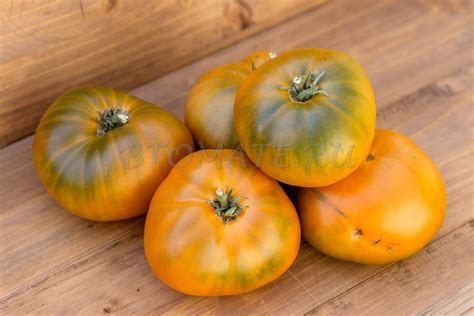 УЛУРУ ОХРА Dwarf Uluru Ochre — BTomate