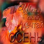 Вдохновляющая открытка Цвети, сияй, мечтай- Скачать бесплатно на ...