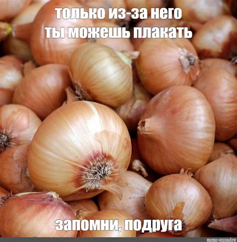 Создать мем "семена лука, лук севок, цибуля" - Картинки - Meme-arsenal.com