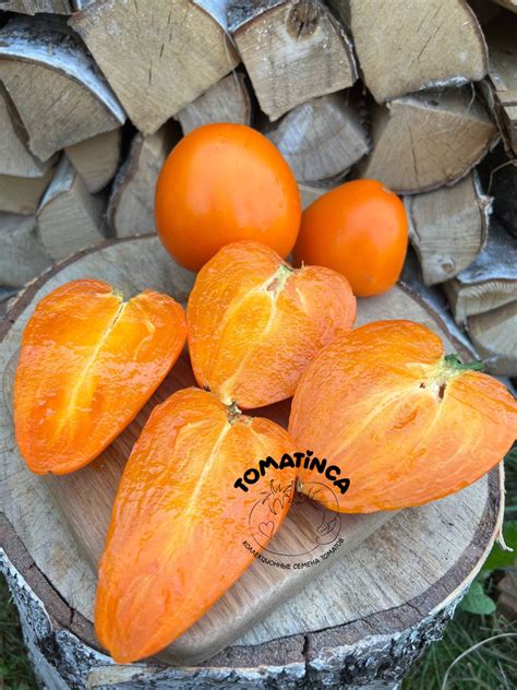 Лискин нос – Tomatinсa.ru