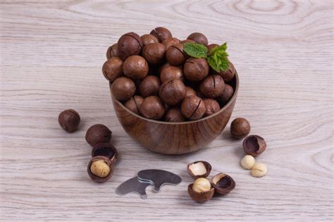 Орех макадамия: вкус, польза, красота обзор продукта