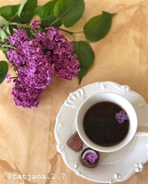 Кофе ☕️ и сирень 💜